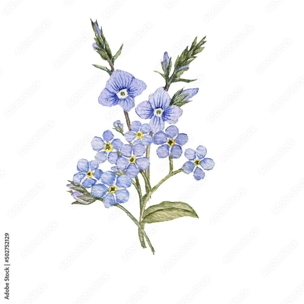 watercolor drawing bouquet of spring flowers, blue forget-me-nots and ...