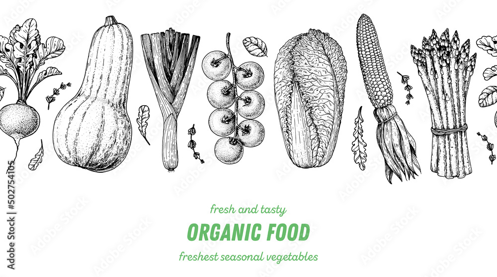 Vegetables hand drawn illustration. Top view frame. Vintage hand drawn ...
