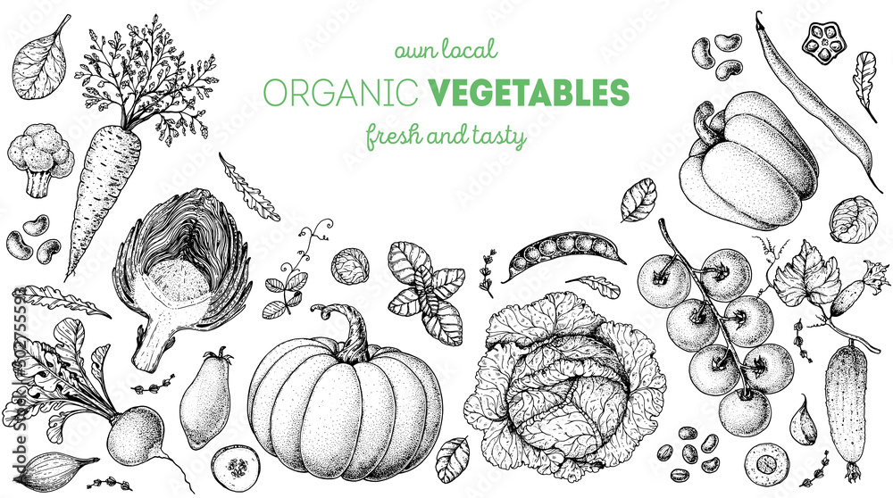 Vegetables hand drawn illustration. Top view frame. Vintage hand drawn ...