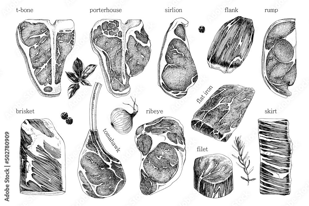 Hand drawn meat elements set. Steak cuts set. Stock Vector | Adobe Stock