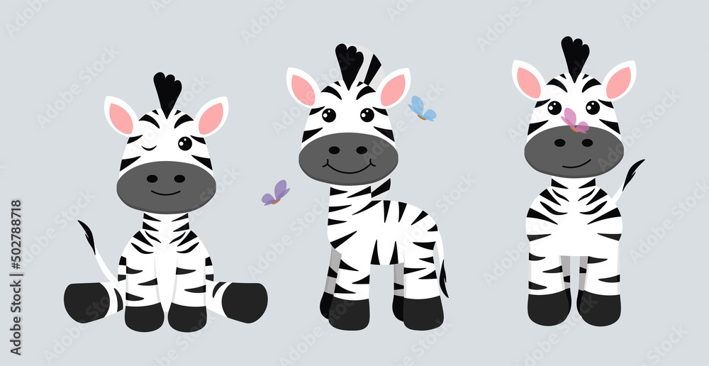 Vector illustration cute and beautiful zebras on white background ...