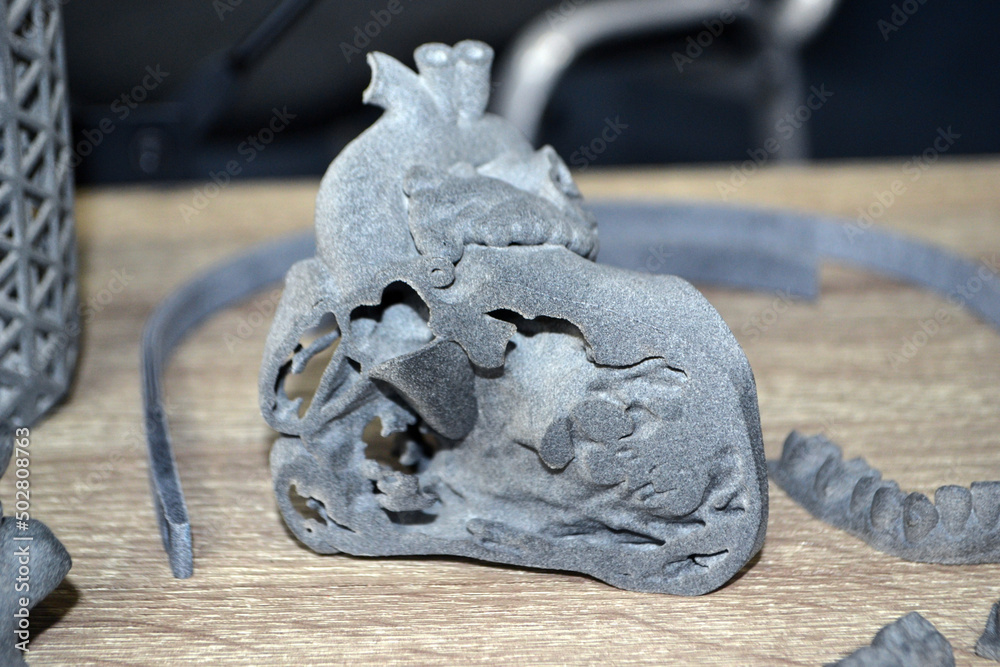 Prototype half of cut human heart printed on 3D printer. Model printed ...