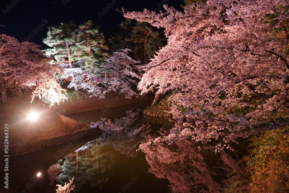 Night View of Pink Sakura or Cherry Blossom and Gejo-bashi Bridge of ...