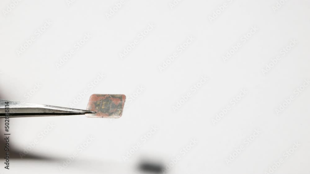 Person identification. Chip for implantation under the skin. A modern ...