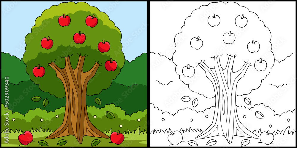 Apple Tree Coloring Page Colored Illustration Stock Vector | Adobe Stock