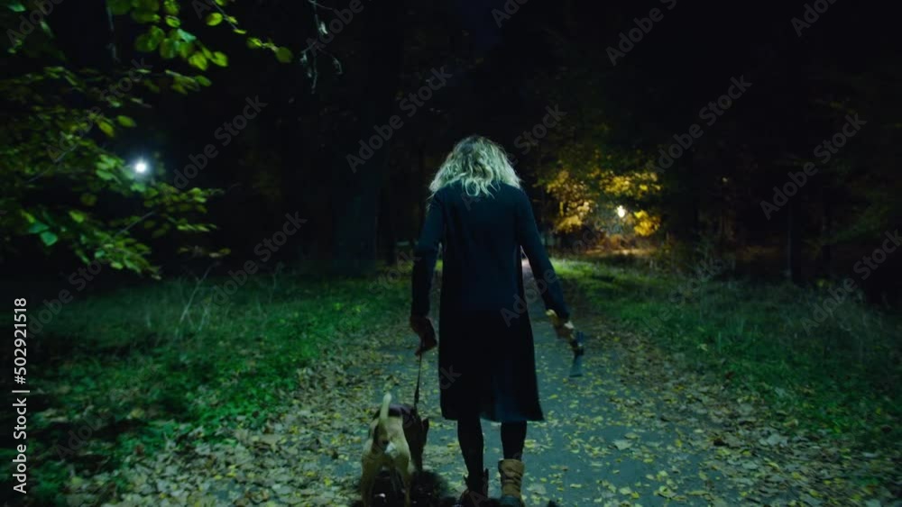 cinematic shot, creepy zombie woman with dog and hammer walks in the ...