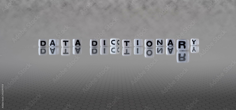 data dictionary word or concept represented by black and white letter ...