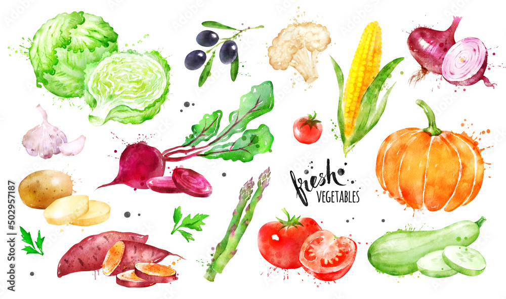 Watercolor hand drawn illustration set of vegetables Stock Illustration ...