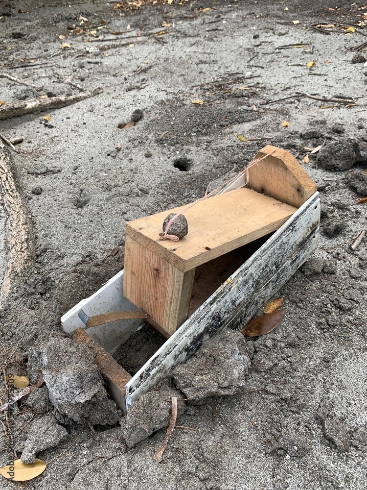 Simple traditional catch method for crabs - wooden crab trap on ...