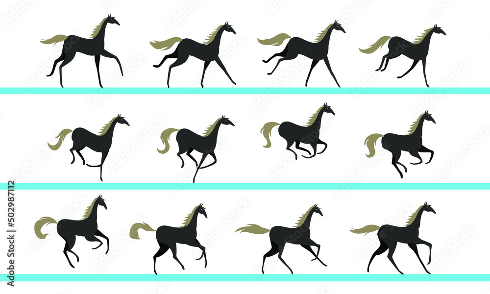 Horse running animation. Twelve key positions of horse running. Vector ...
