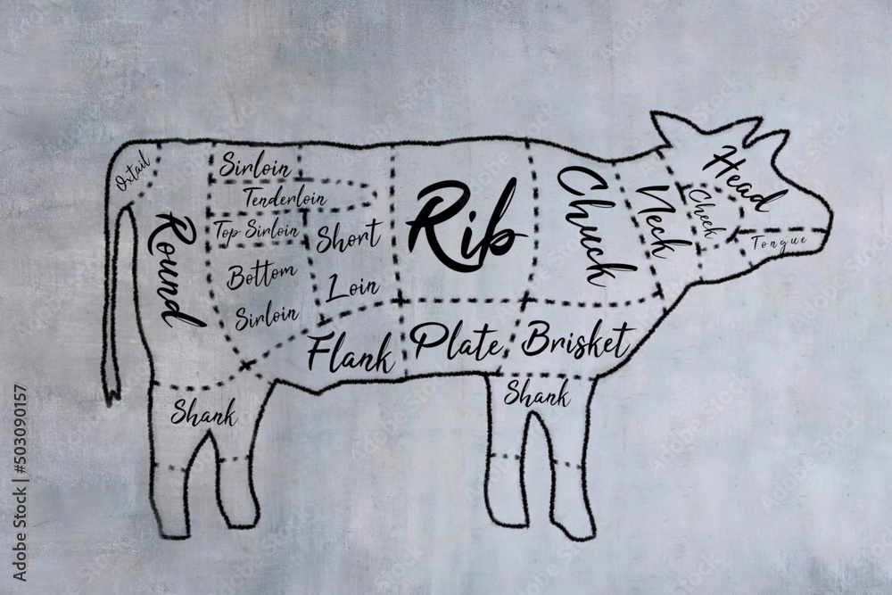 Hand drawn image of butcher beef cuts diagram on chalkboard. Stock ...