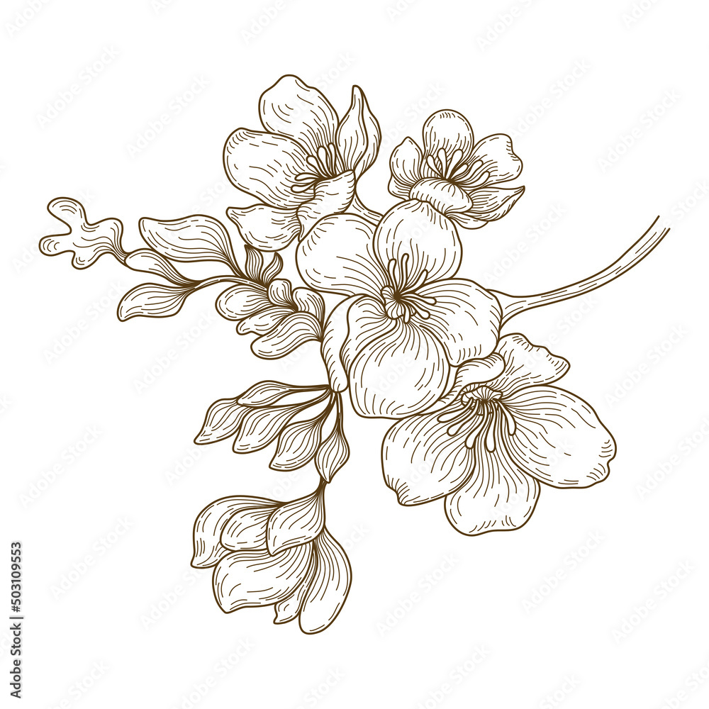 Vector floral line art illustration designed in brown tone doodle style ...
