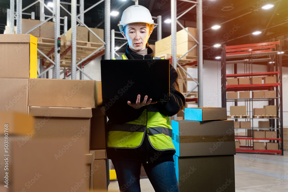 Customs clearance. Woman with laptop in warehouse. Manager works at ...
