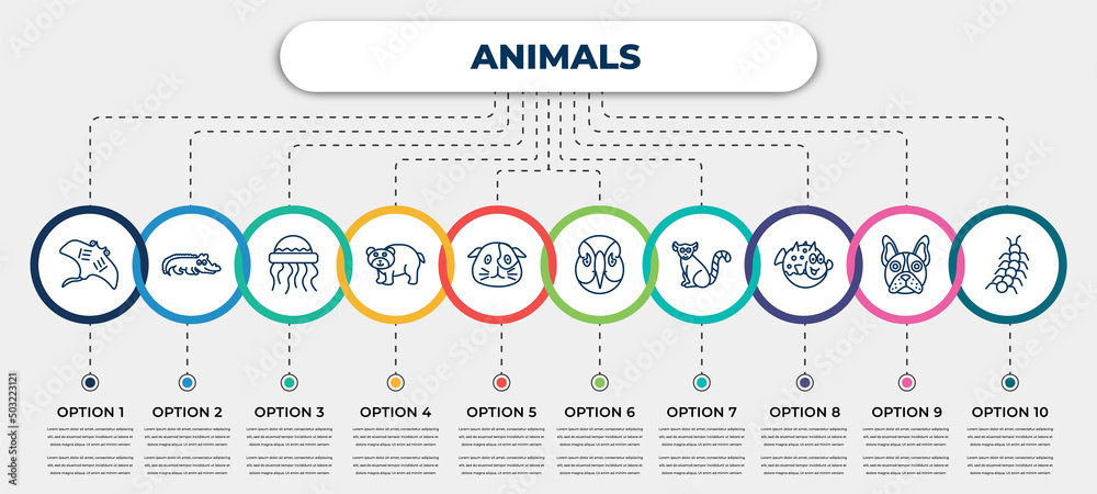 vector infographic template with icons and 10 options or steps ...