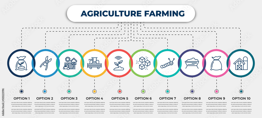 vector infographic template with icons and 10 options or steps ...