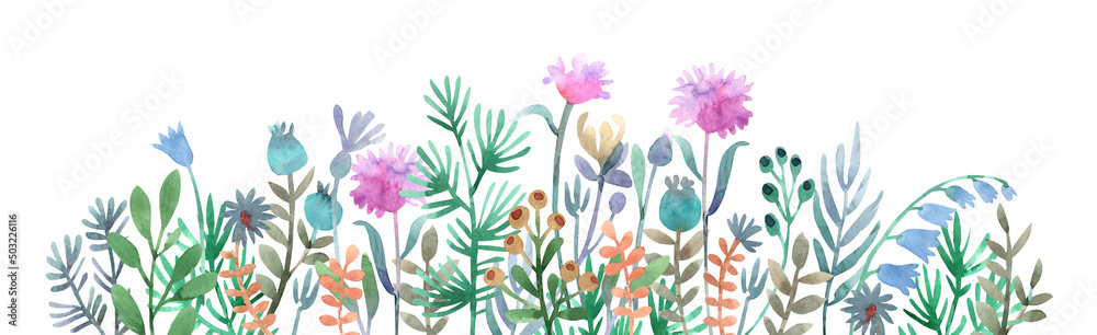 Watercolor wild flowers floral border. Hand drawn elegant, delicate ...