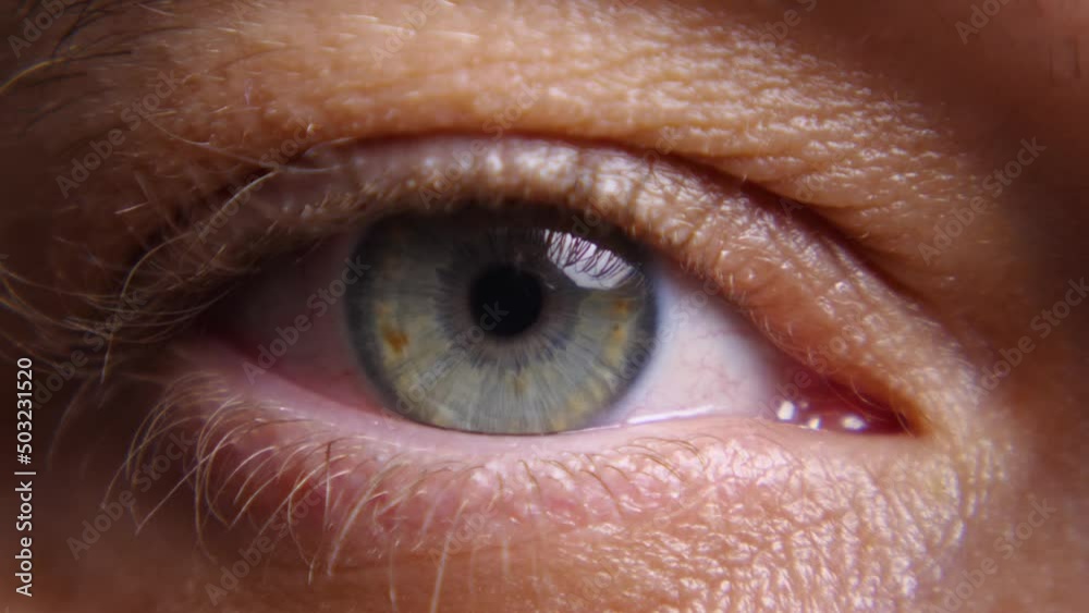 The human eye in close-up. The pupil is slightly dilated and narrowed ...