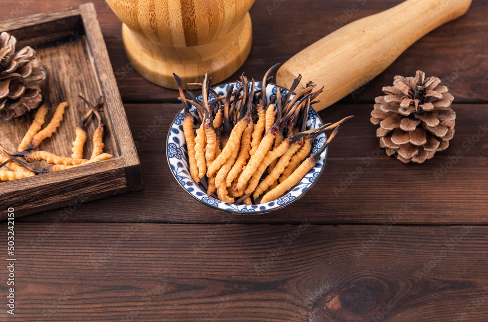 Photography of cordyceps sinensis, a nourishing Chinese herb Stock ...