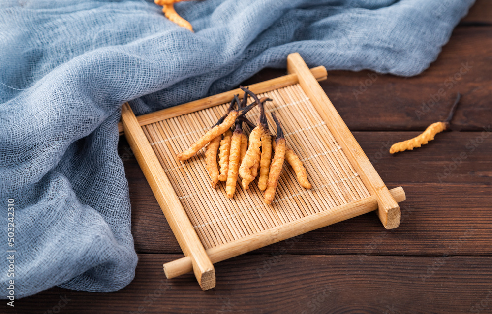 Photography of cordyceps sinensis, a nourishing Chinese herb Stock ...