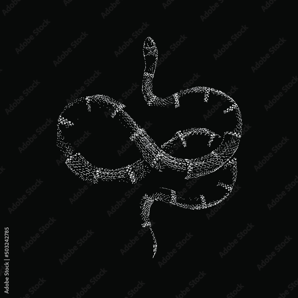 eastern coral snake hand drawing vector illustration isolated on black ...