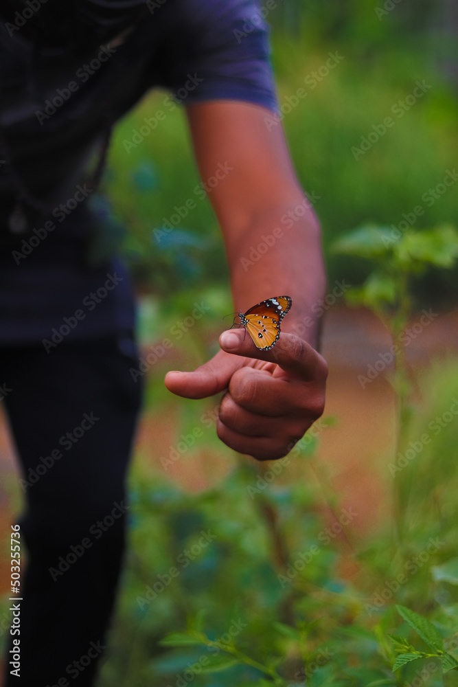 Foto de Butterfly grabbing onto the hand with wings flapping and good ...