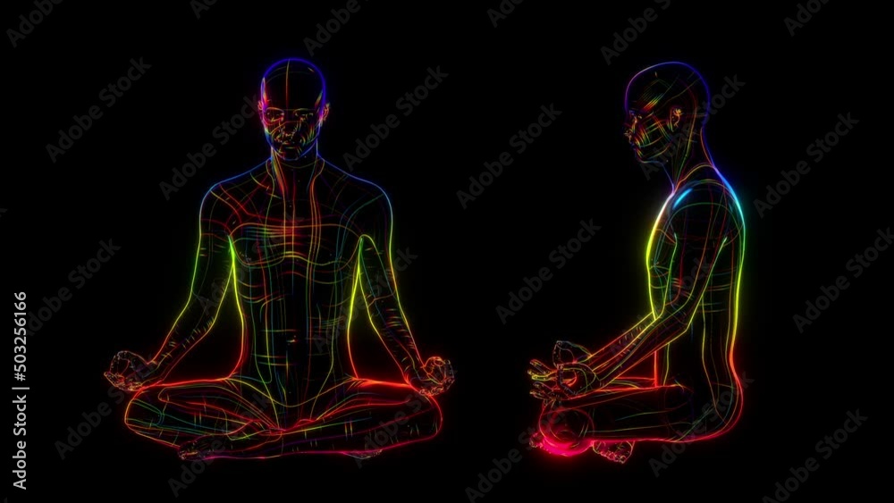 looped 3d animation of nadi - energy channels in the human body. Stock ...