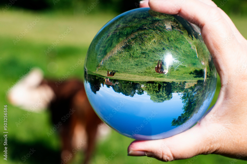 Focus on taking care of nature and the climate shown with nature ...