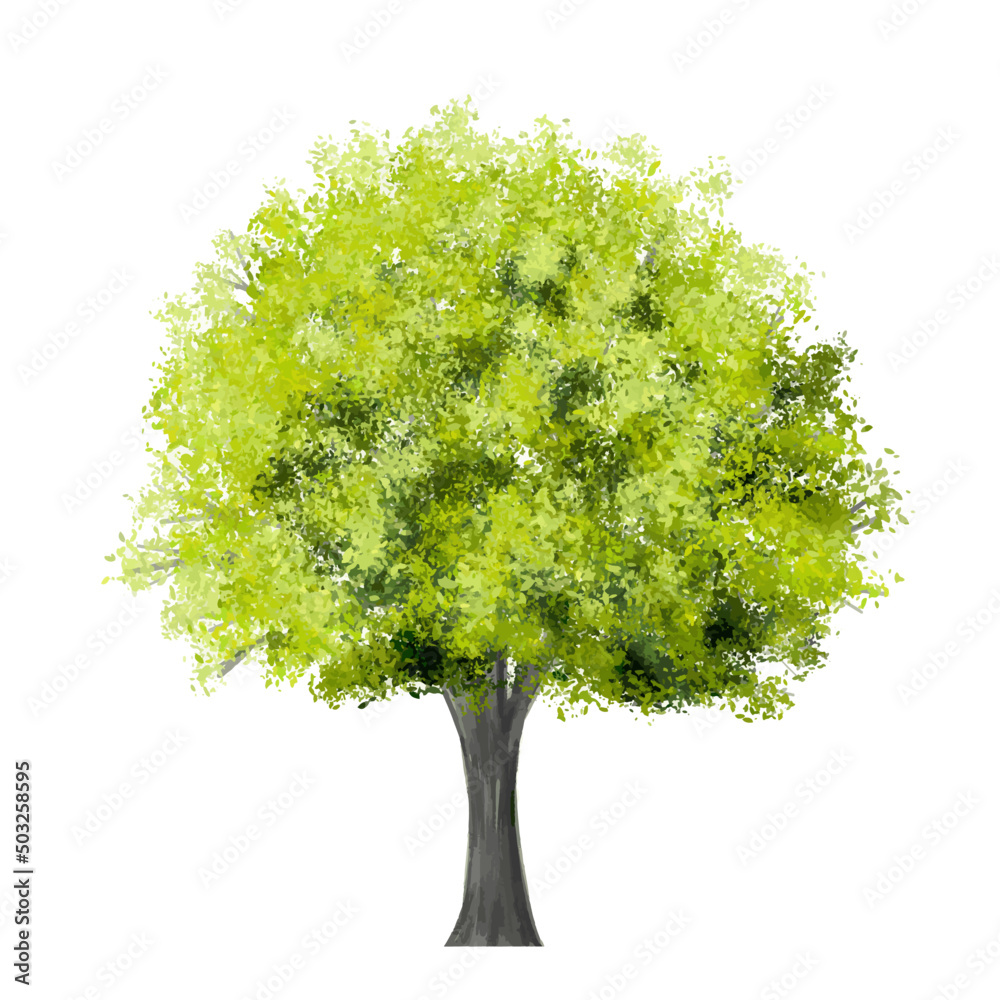 Vector green tree side view isolated on white background for landscape ...