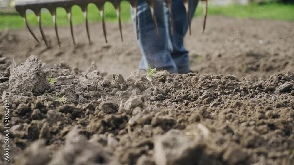 Close-up of the rake with which the gardener processes the soil in the ...