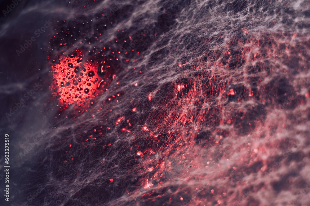 Beautiful abstract red texture web. Background pattern for design ...