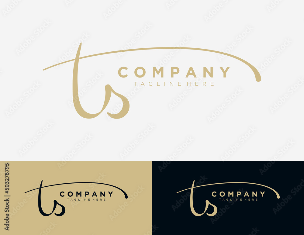 Letter TS handwritten logo design template. Stock Vector | Adobe Stock
