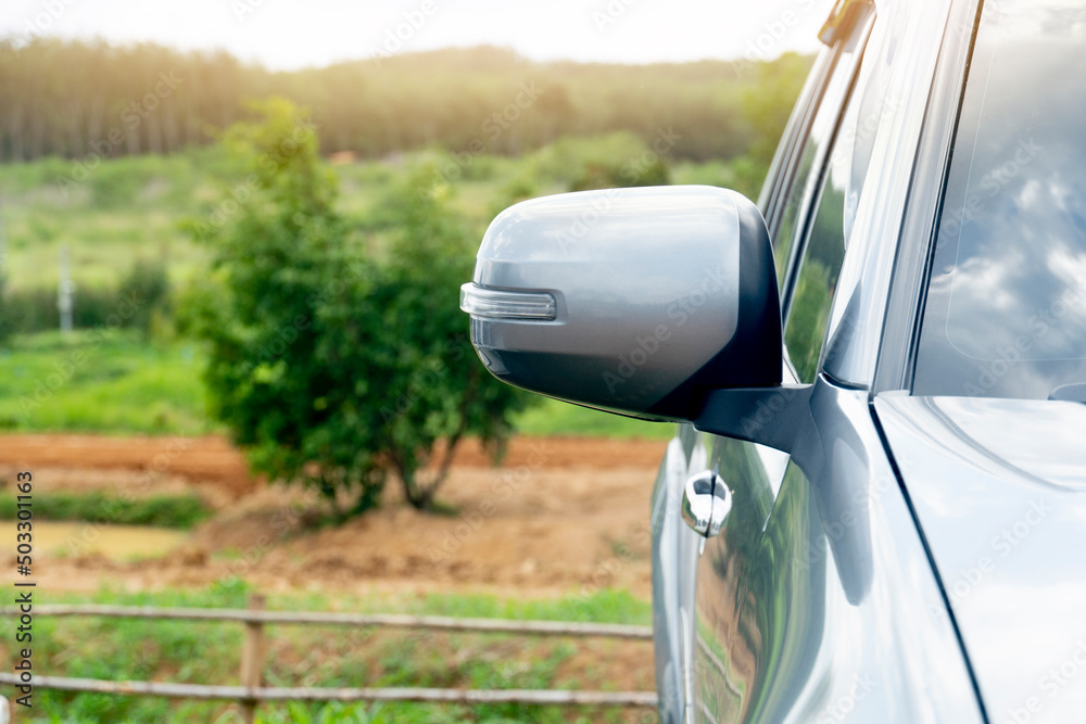 Mirror wing of gray car. Park facing and behind is a blurry view of ...