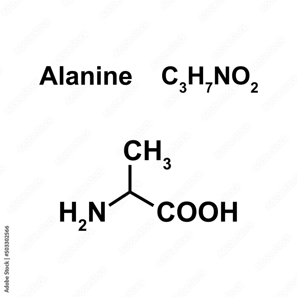 Alanine Amino Acid Chemical Structure. Vector Illustration. vector de ...