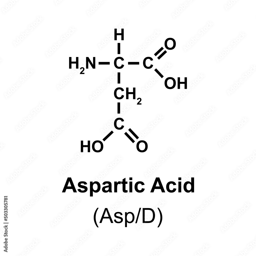 Aspartic Acid Amino Acid Chemical Structure. Vector Illustration. Stock ...