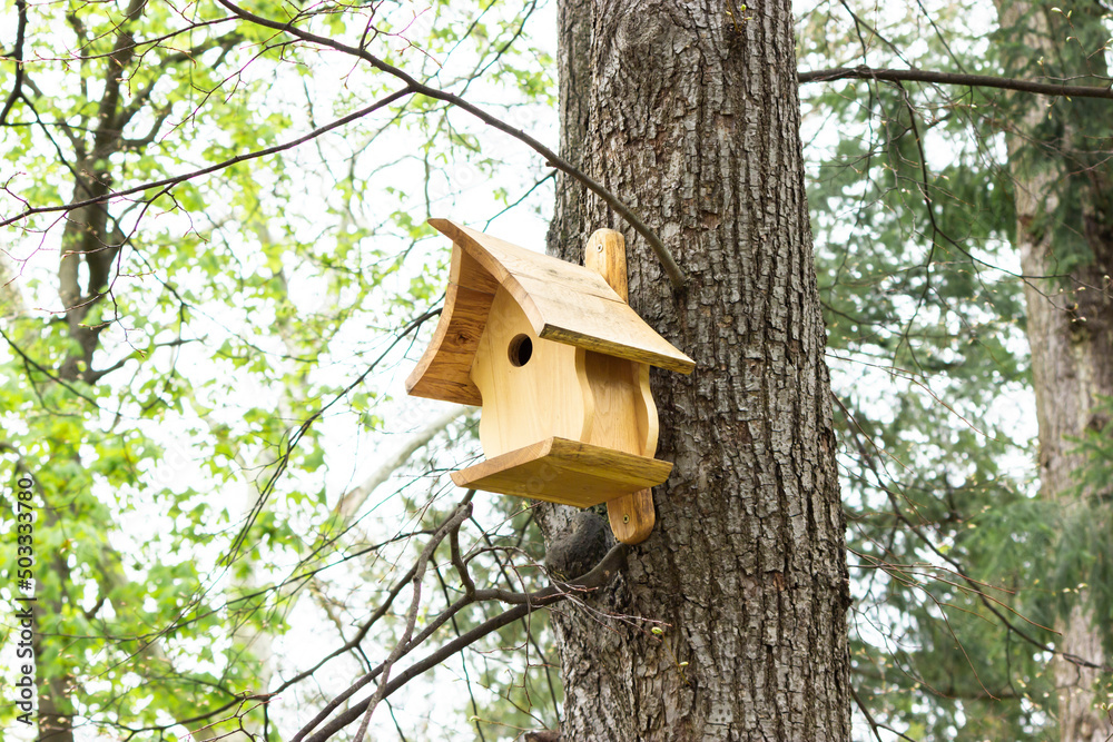 Pretty wooden birdhouse (nesting box or nesthouse) in the wavy shape ...
