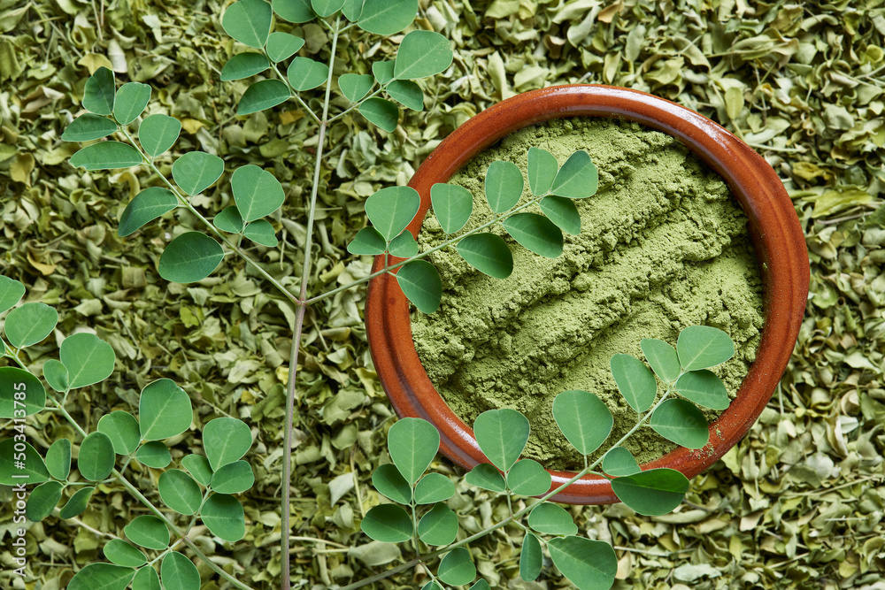 Moringa powder in a ceramic bowl next to moringa leaves and branches ...