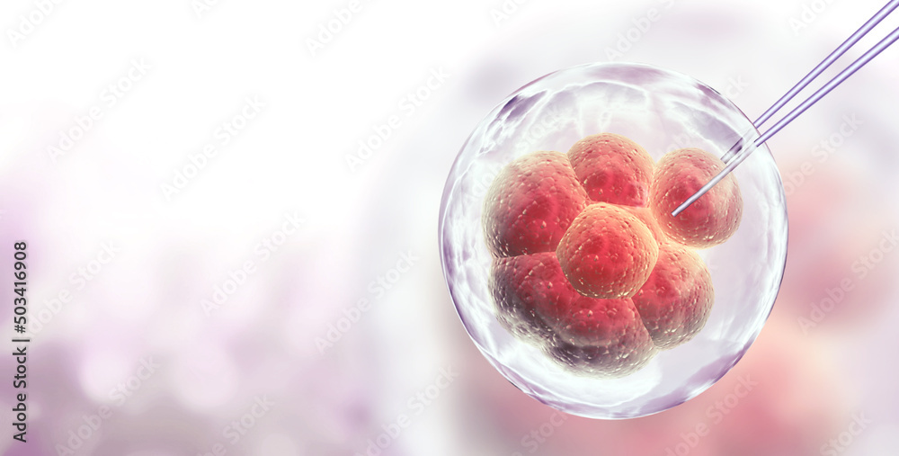 Genetic engineering, GMO and gene manipulation concept. Hi Tech ...