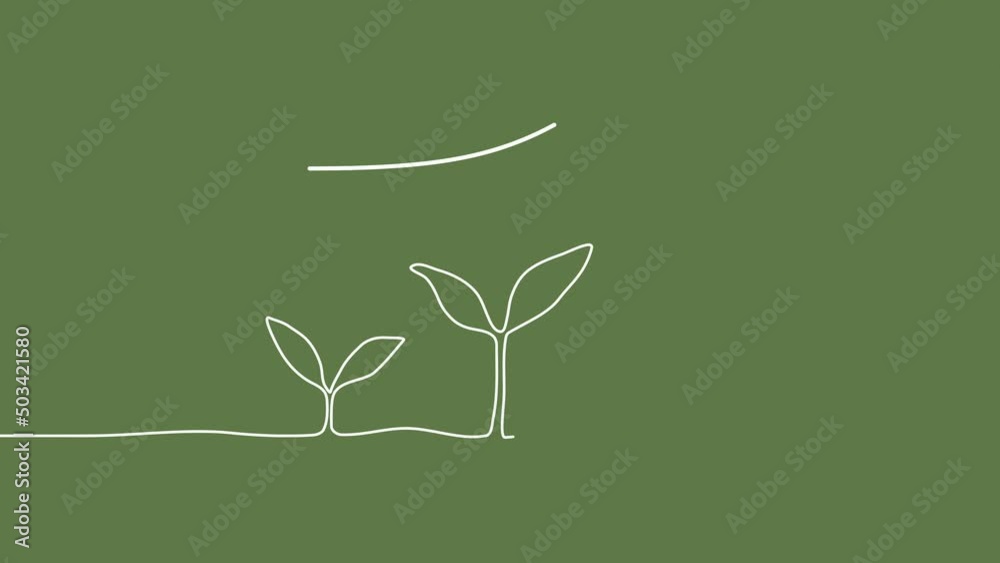 Continuous one line drawing plant germination sequence on green ...