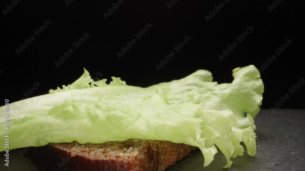 I'm making a sandwich. I put a lettuce leaf on the bread. Dolly slider ...