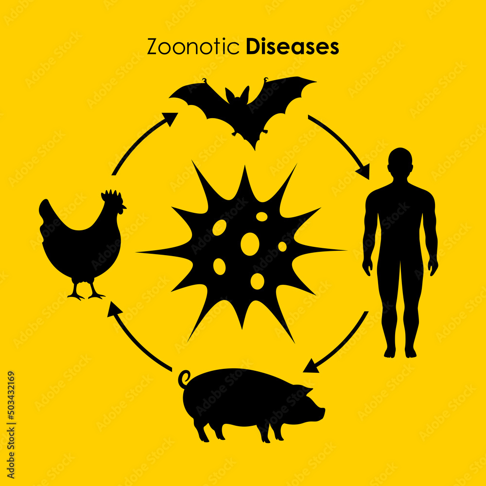 Zoonotic diseases vector poster Stock Vector | Adobe Stock
