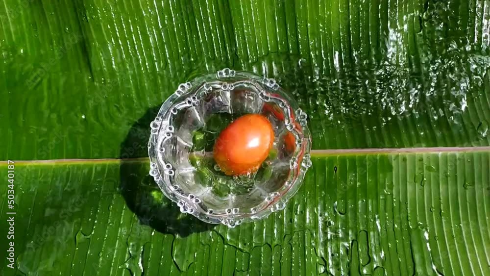 Isolated one tomato falling down into glass bowl filled with water and ...