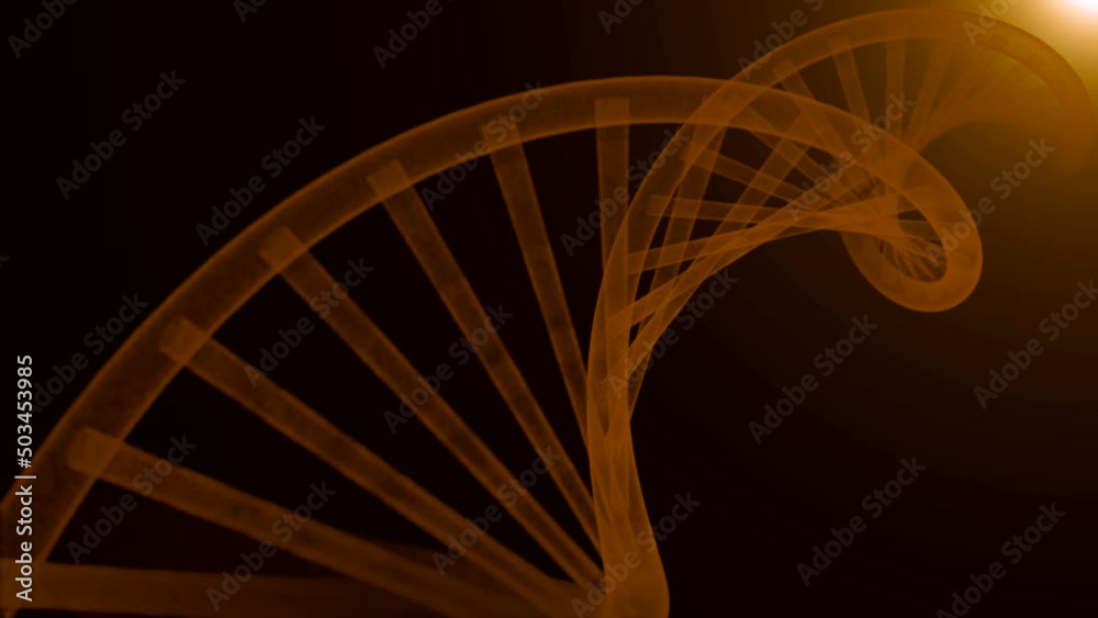 4K Medical science, Abstract animated construction of a DNA molecule ...