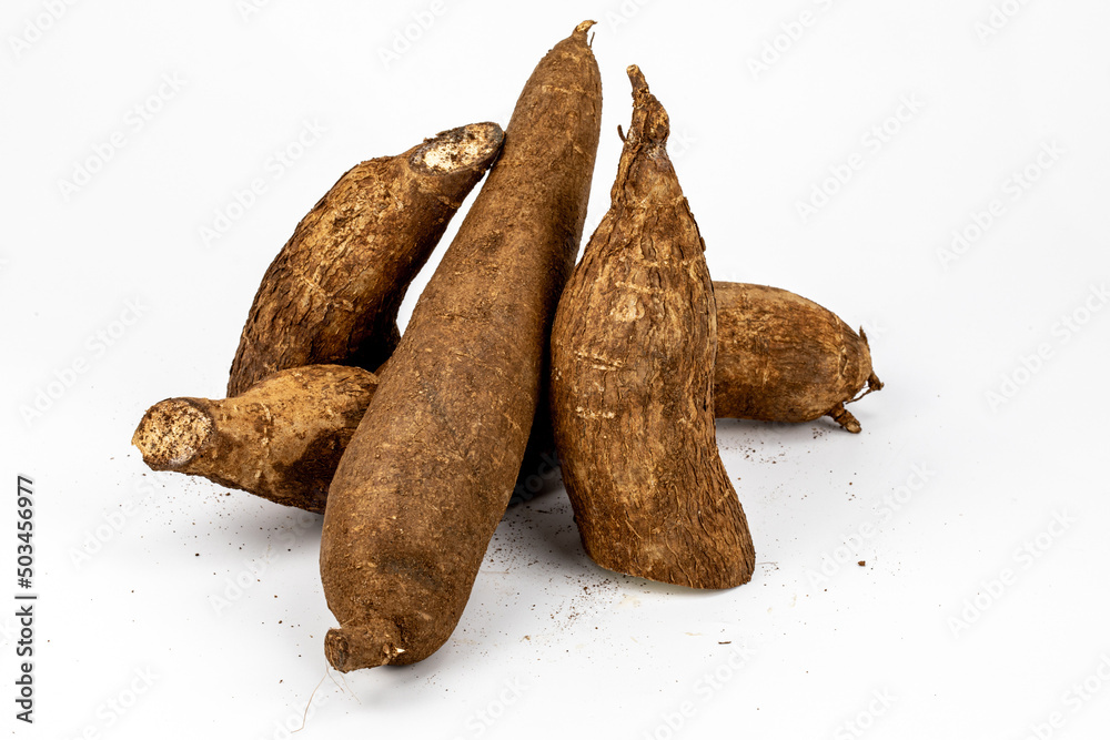 Tapioca / Kappa - roots of the cassava plant, cut and whole isolated in ...