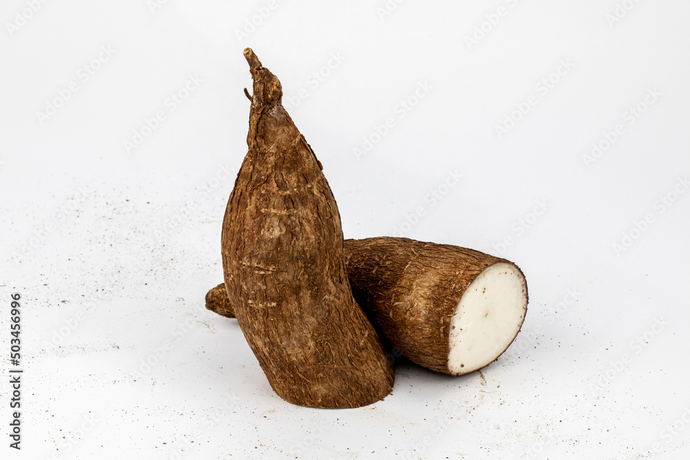 Tapioca / Kappa - roots of the cassava plant, cut and whole isolated in ...