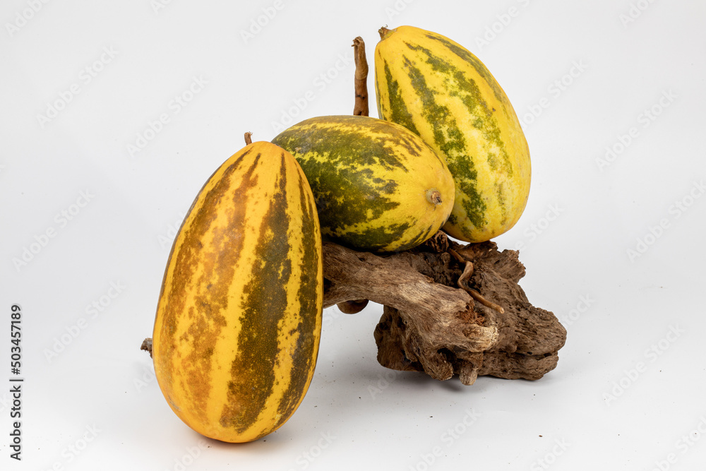 Vellery Trichosanthes dioica, also known as pointed gourd, Vegetable ...