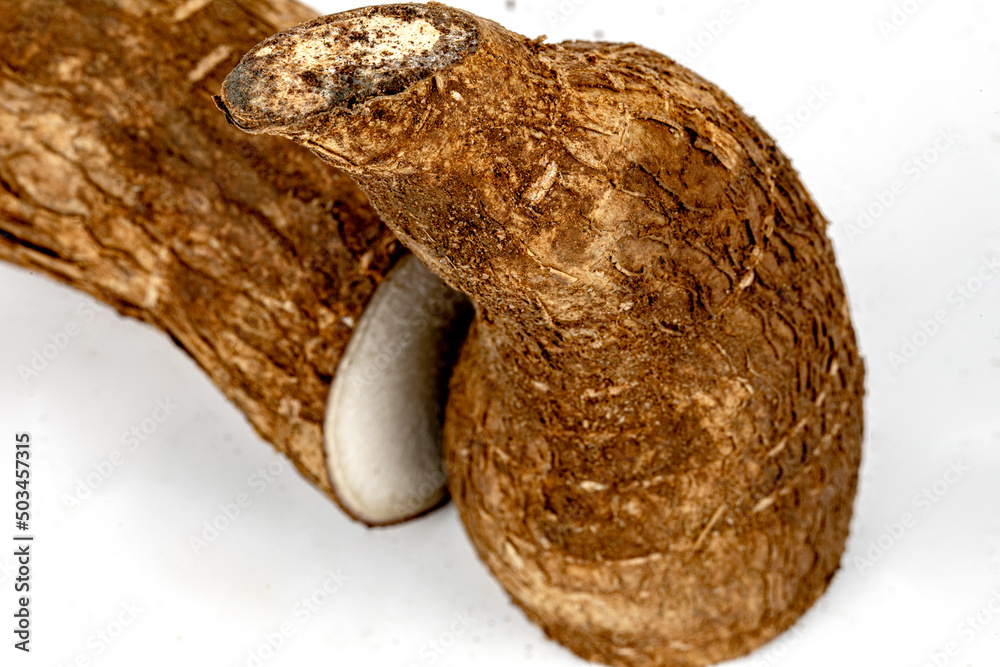 Tapioca / Kappa - roots of the cassava plant, cut and whole isolated in ...