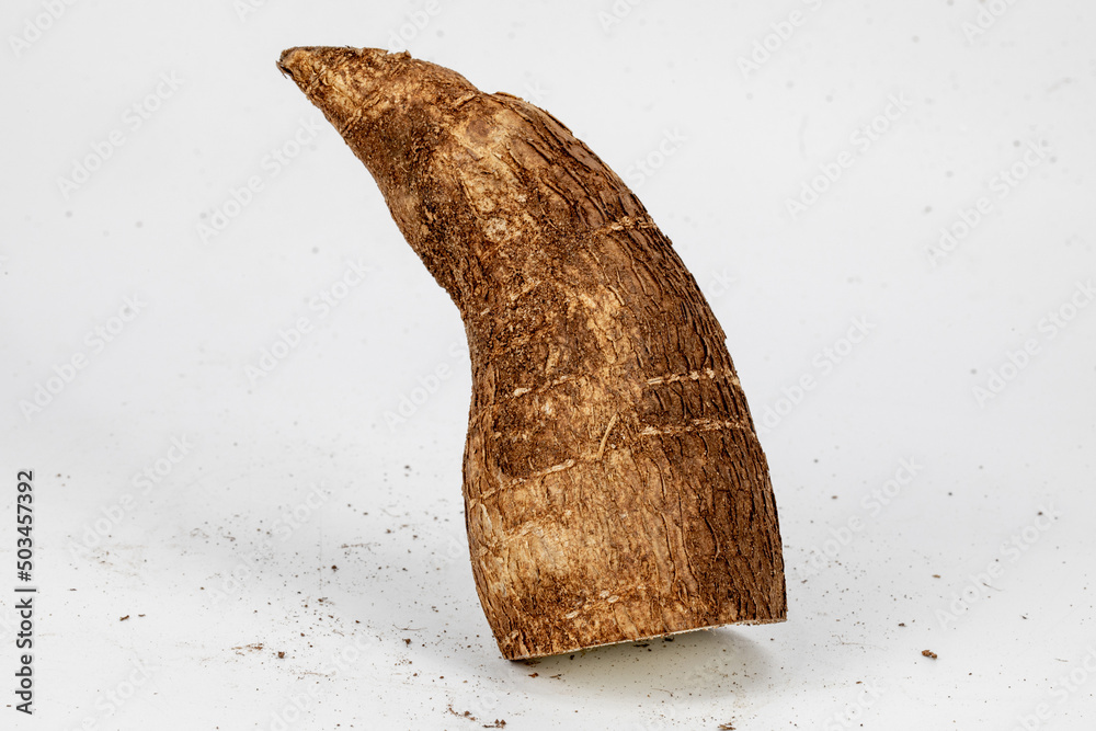 Tapioca / Kappa - roots of the cassava plant, cut and whole isolated in ...