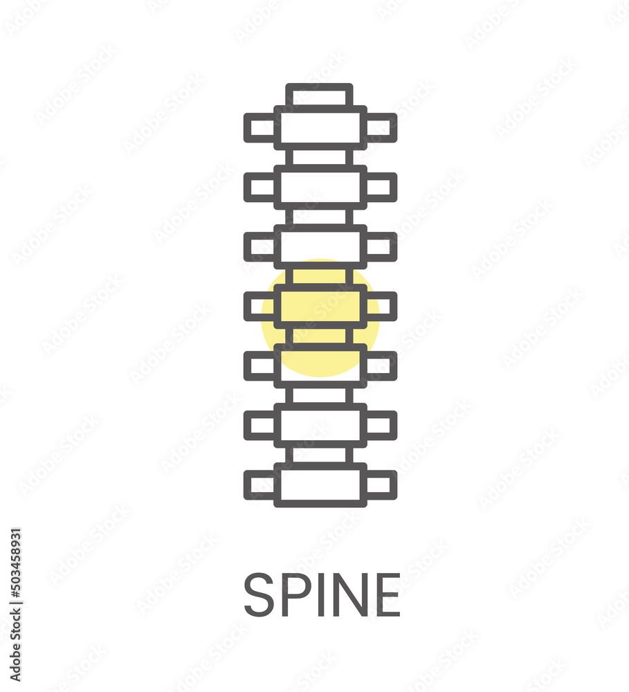 Vector icon spine, for physiotherapy and rehabilitation. Linear ...