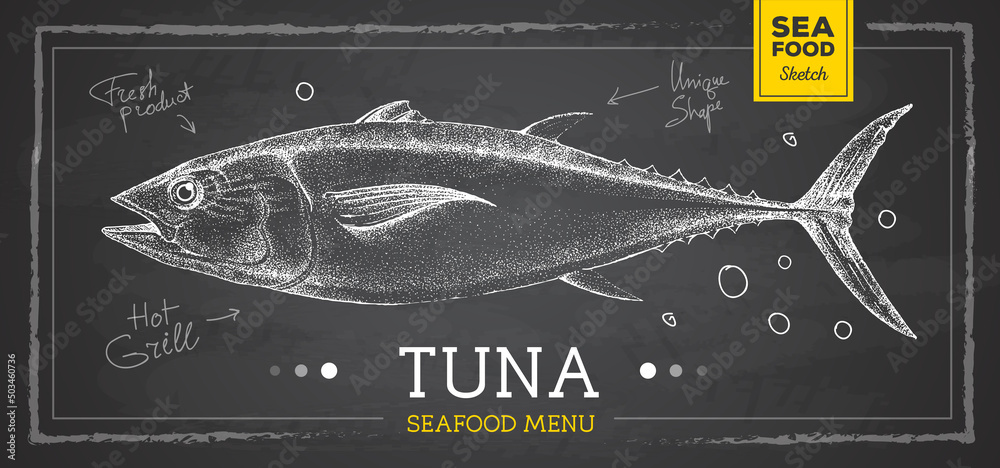 Realistic chalk drawing tuna fish vector illustration. Seafood menu ...