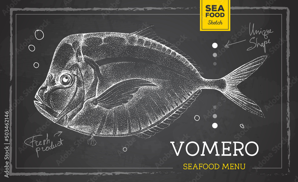 Realistic chalk drawing lookdown fish vector illustration. Seafood menu ...